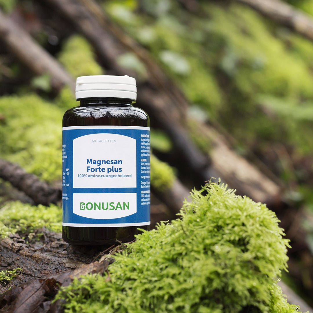 Home - Bonusan | Bonusan