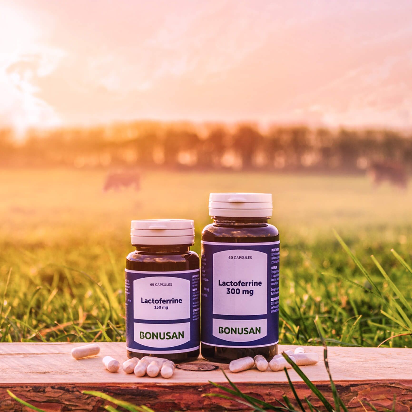 Producten van Bonusan | Bonusan