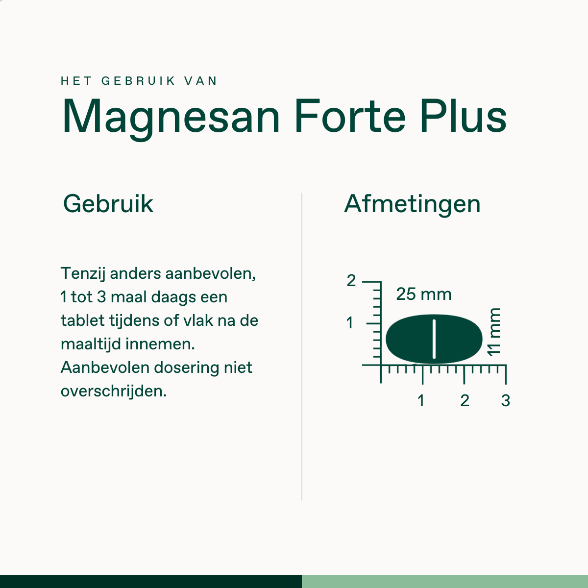 Bonusan Magnesan Forte Plus (120 stuks) – Hoogwaardig ...