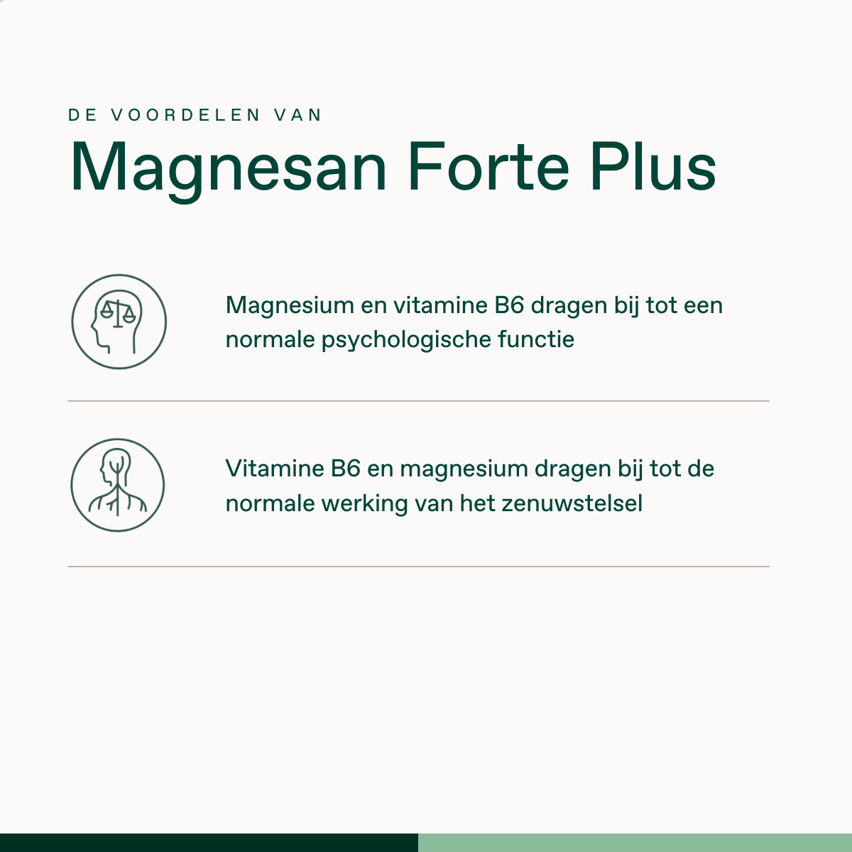 Bonusan Magnesan Forte Plus (120 stuks) – Hoogwaardig ...